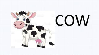 Animals trans | PPTX | Dogs | Pets