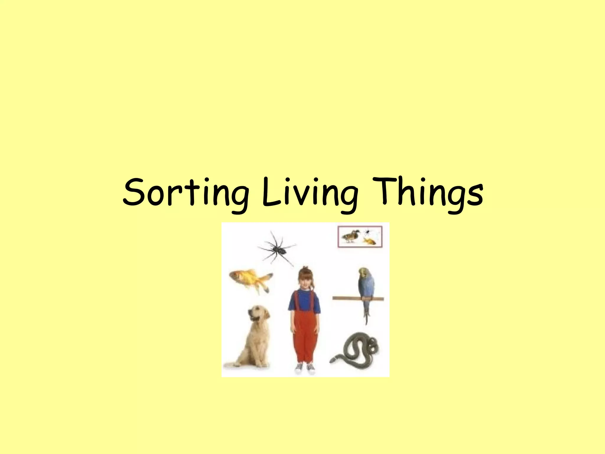 Animals.unit 1. power point | PPT