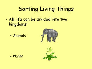 Animals.unit 1. power point | PPT