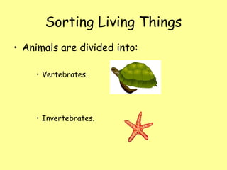 Animals.unit 1. power point | PPT