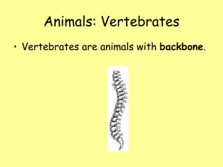 Animals.unit 1. power point | PPT