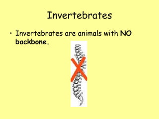 Animals.unit 1. power point | PPT