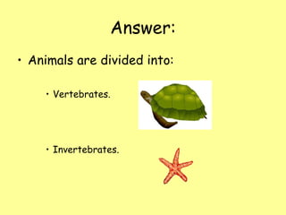 Animals.unit 1. power point | PPT