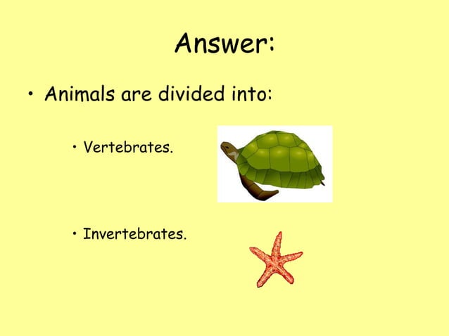 Animals.unit 1. power point | PPT