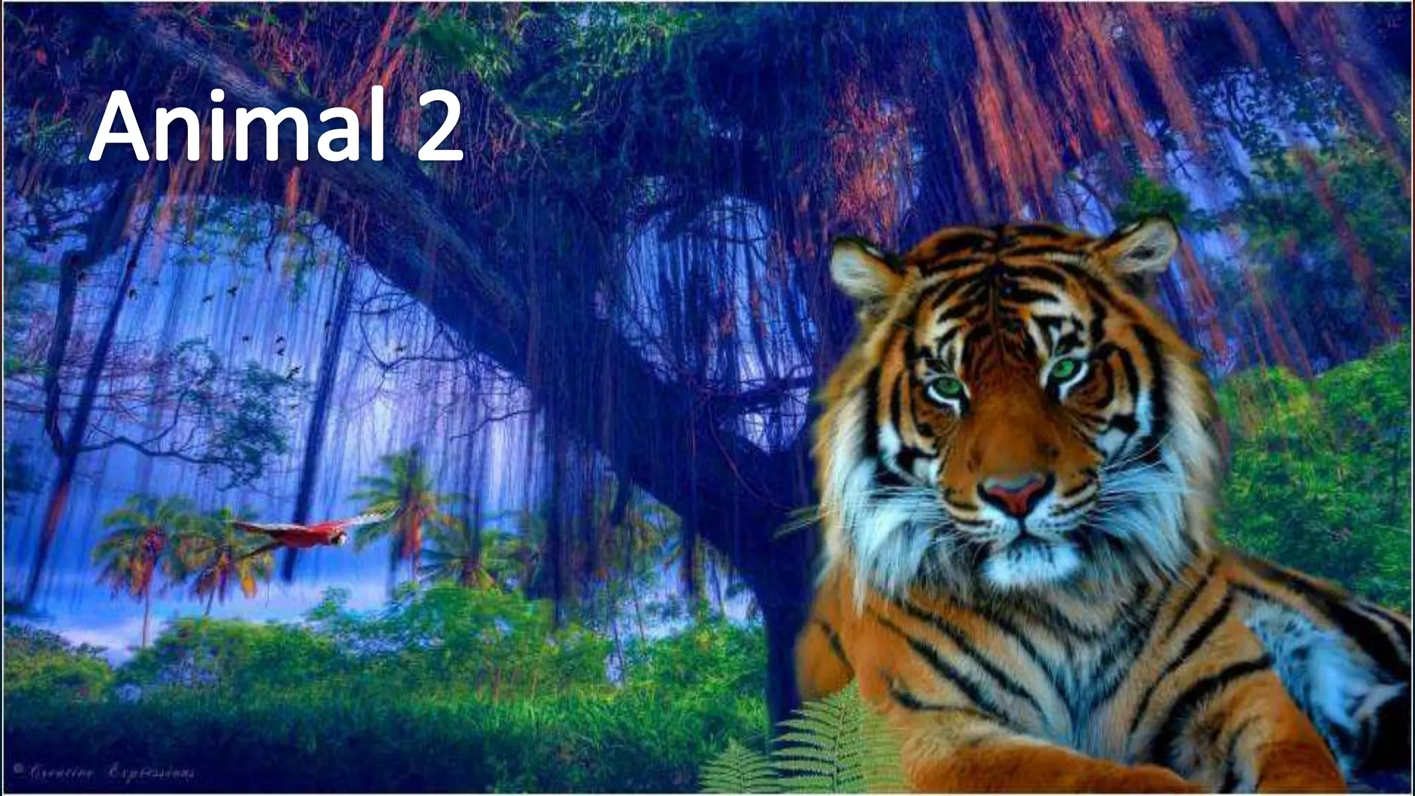 The wonder of Animals | PPT