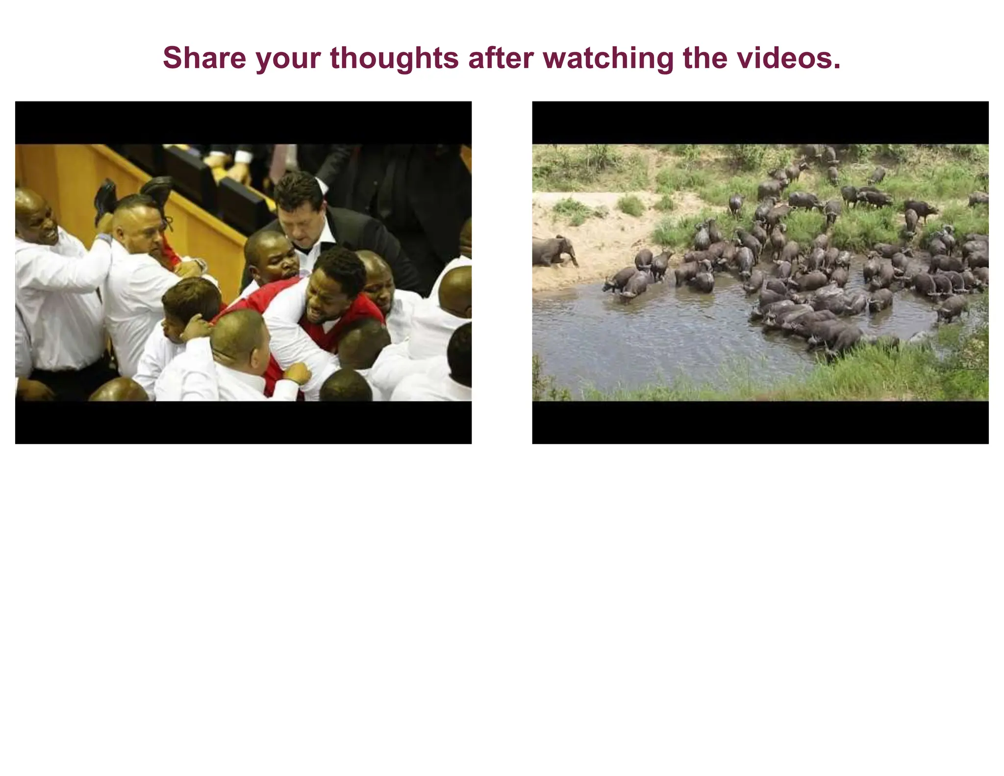 Animals - Walt Whitman.pptx