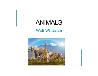 Animals - Walt Whitman.pptx
