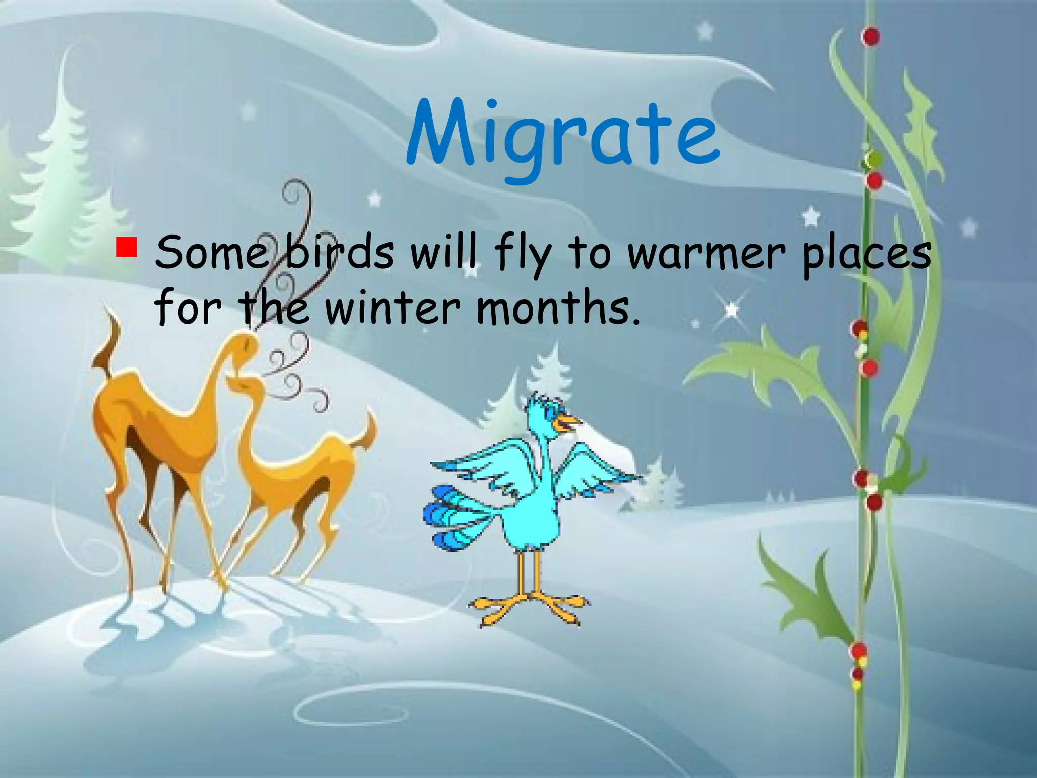 Animals In Winter - How They Live? | PPT