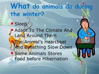 Animals In Winter - How They Live? | PPT