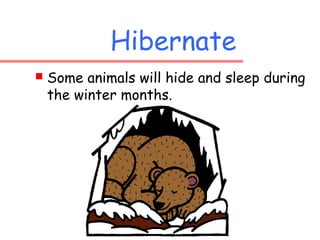 Animals winter | PPT | Birds | Pets