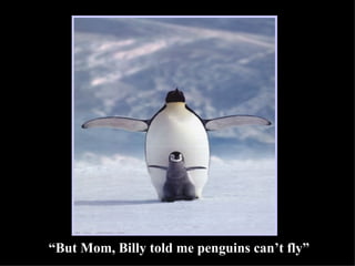 Funny Captions Animals