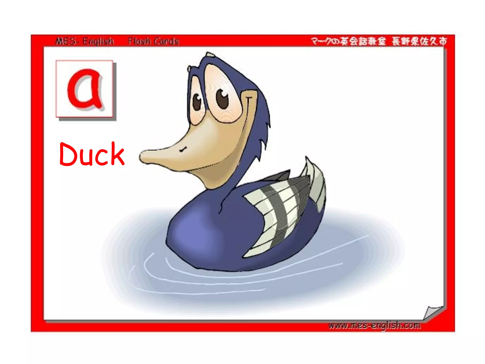 teaching animals | PPT