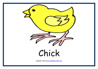 Animals 1 flashcards | PDF