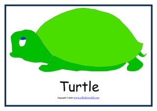 Animals 1 flashcards | PDF | Dogs | Pets