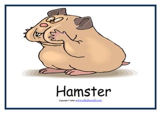 Animals 1 flashcards | PDF | Dogs | Pets