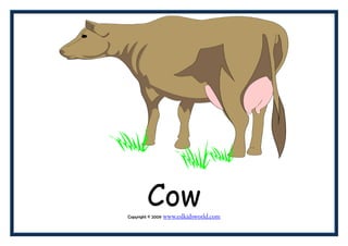 Animals 1 flashcards | PDF