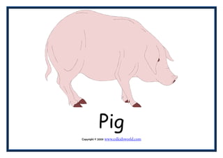 Animals 1 flashcards | PDF | Dogs | Pets