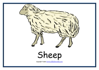 Animals 1 flashcards | PDF