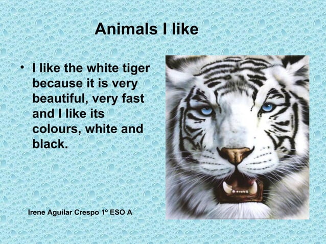ANIMALS I LIKE | PPT