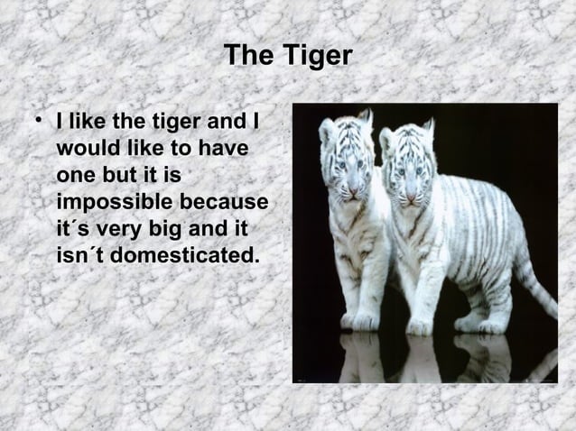 ANIMALS I LIKE | PPT