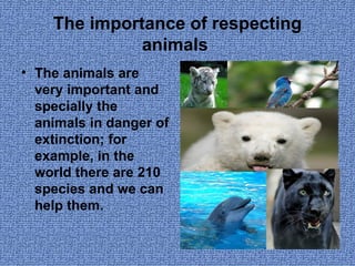 ANIMALS I LIKE | PPT