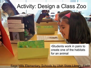 What a Zoo! Animal Activities, Apps, & Tools | PPTX