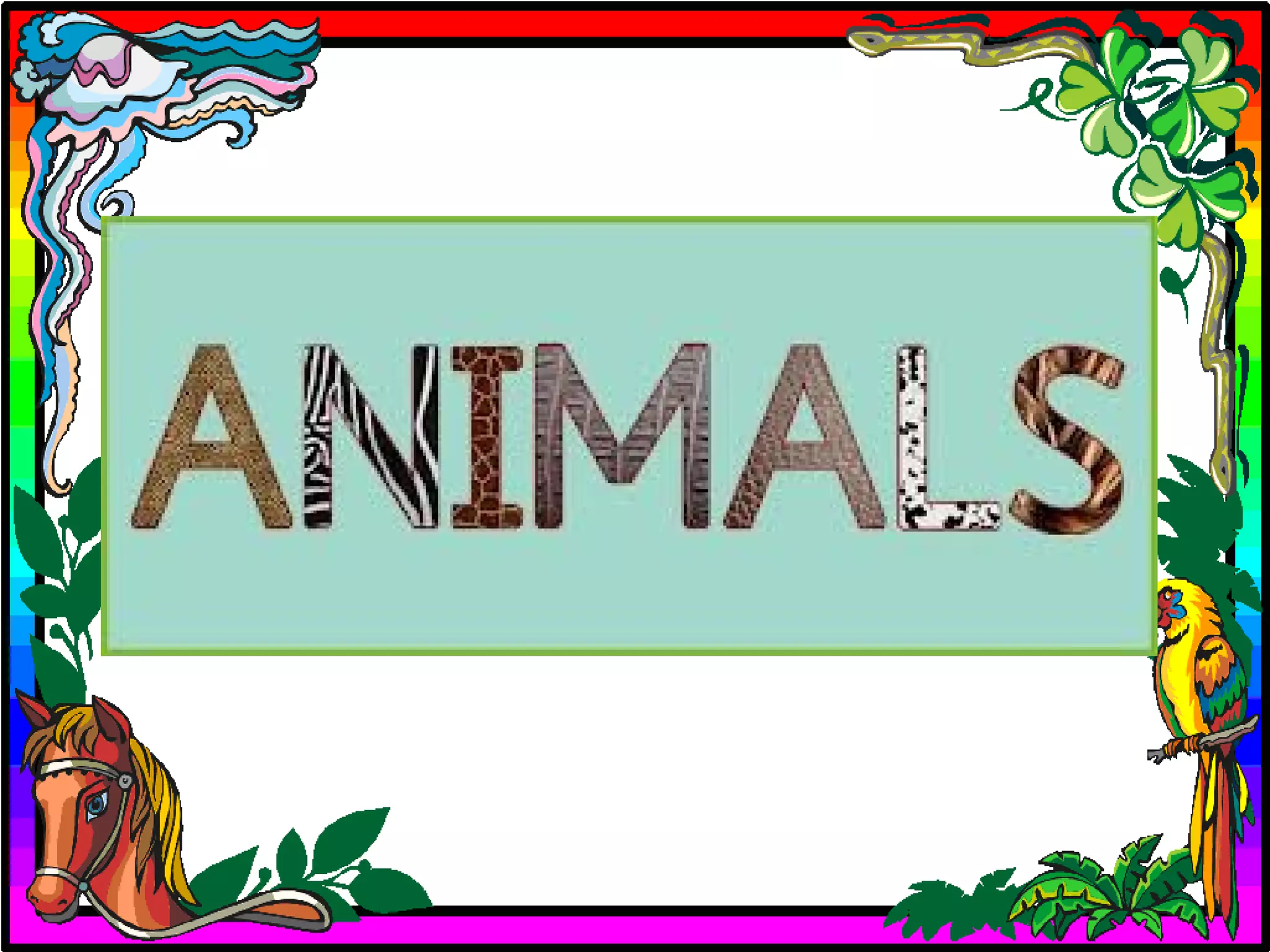 Animals classification | PPT