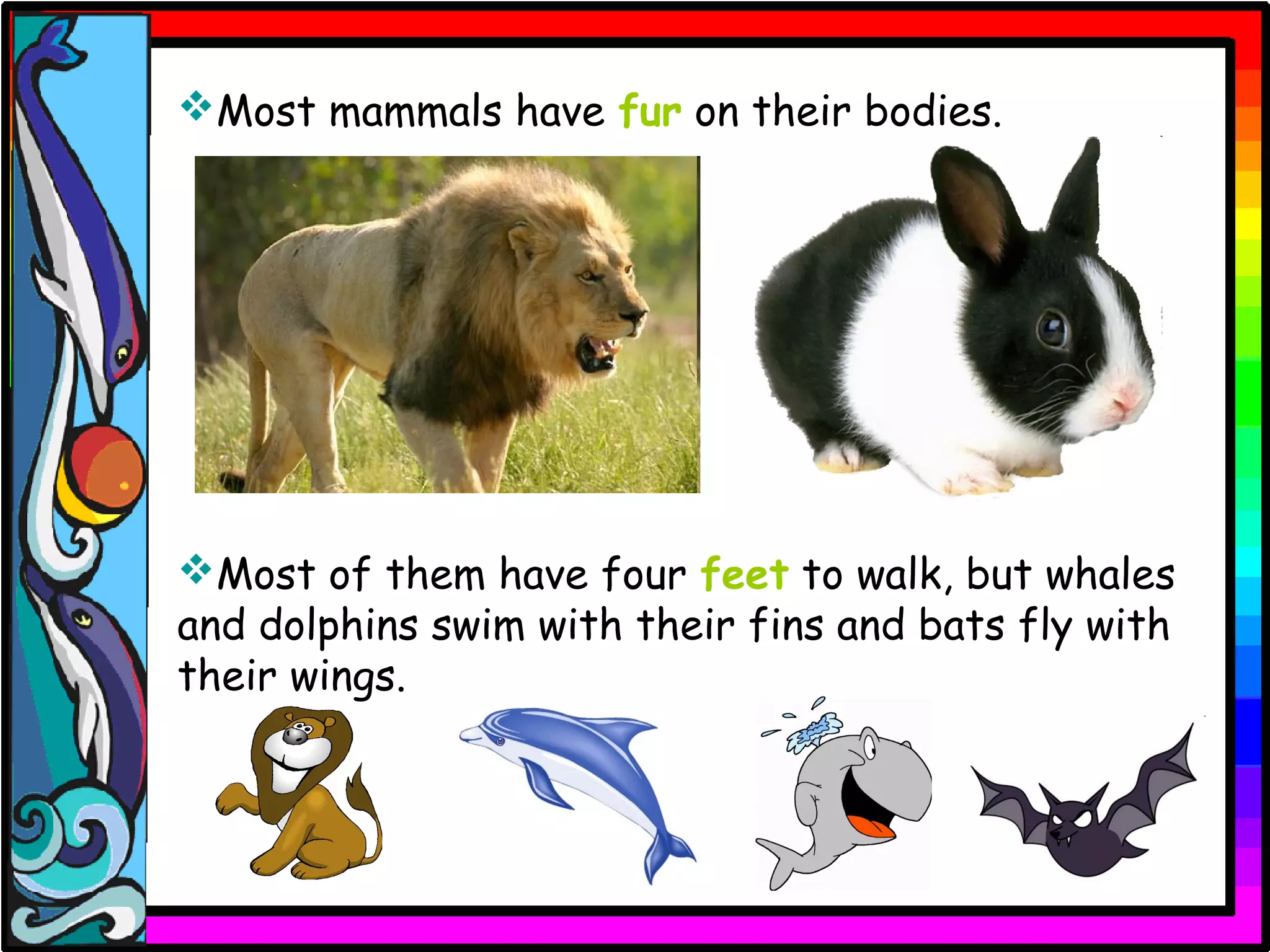 Animals classification | PPT