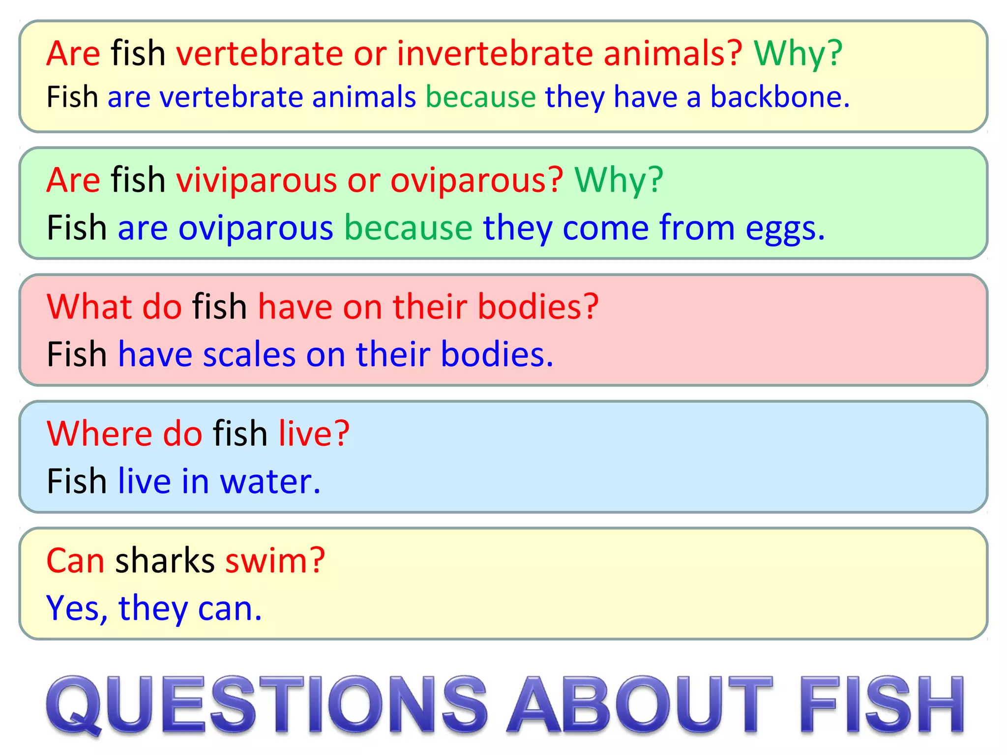 Animals classification | PPT