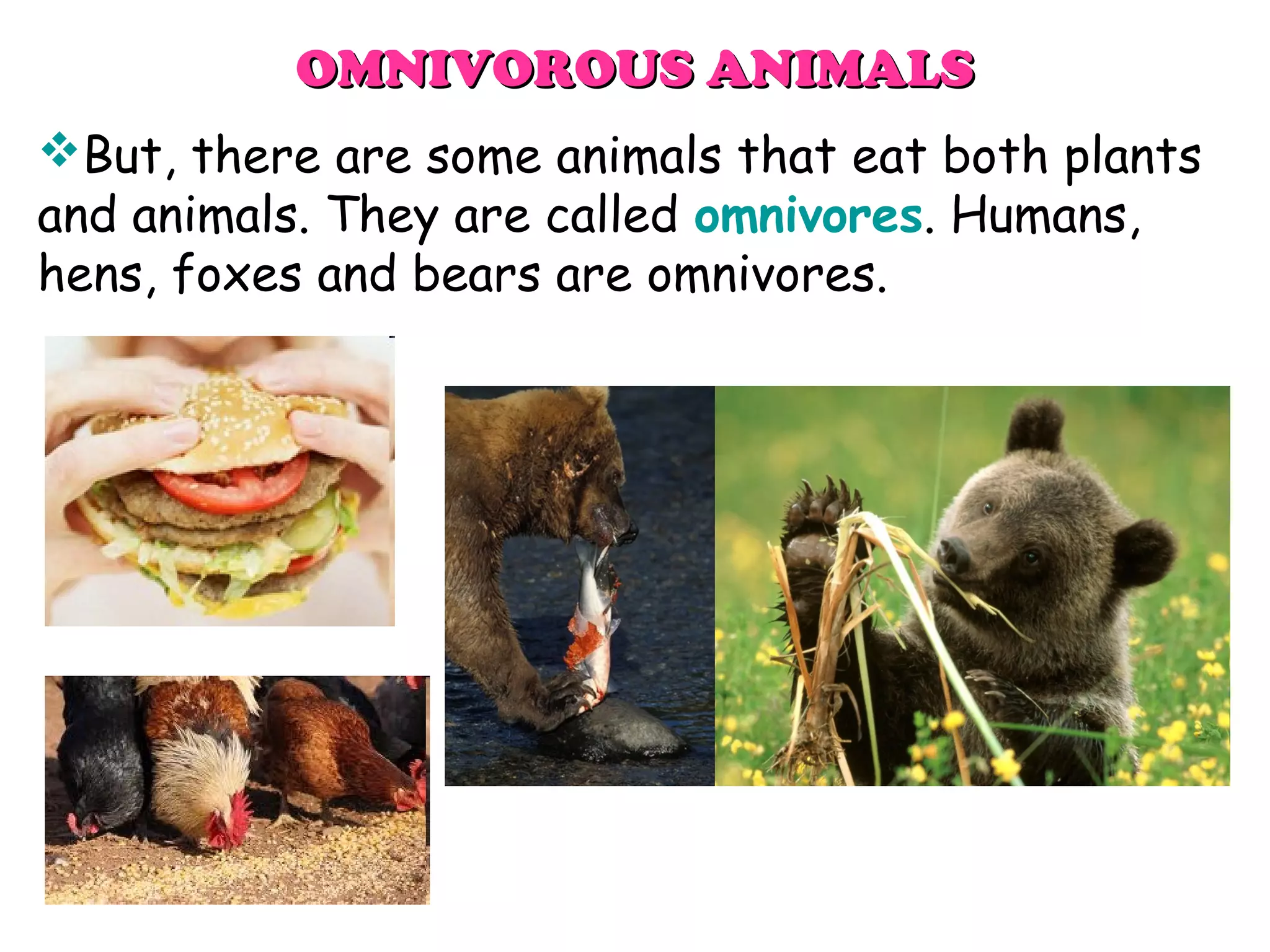 Animals classification | PPT