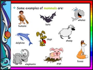 Animals classification | PPT