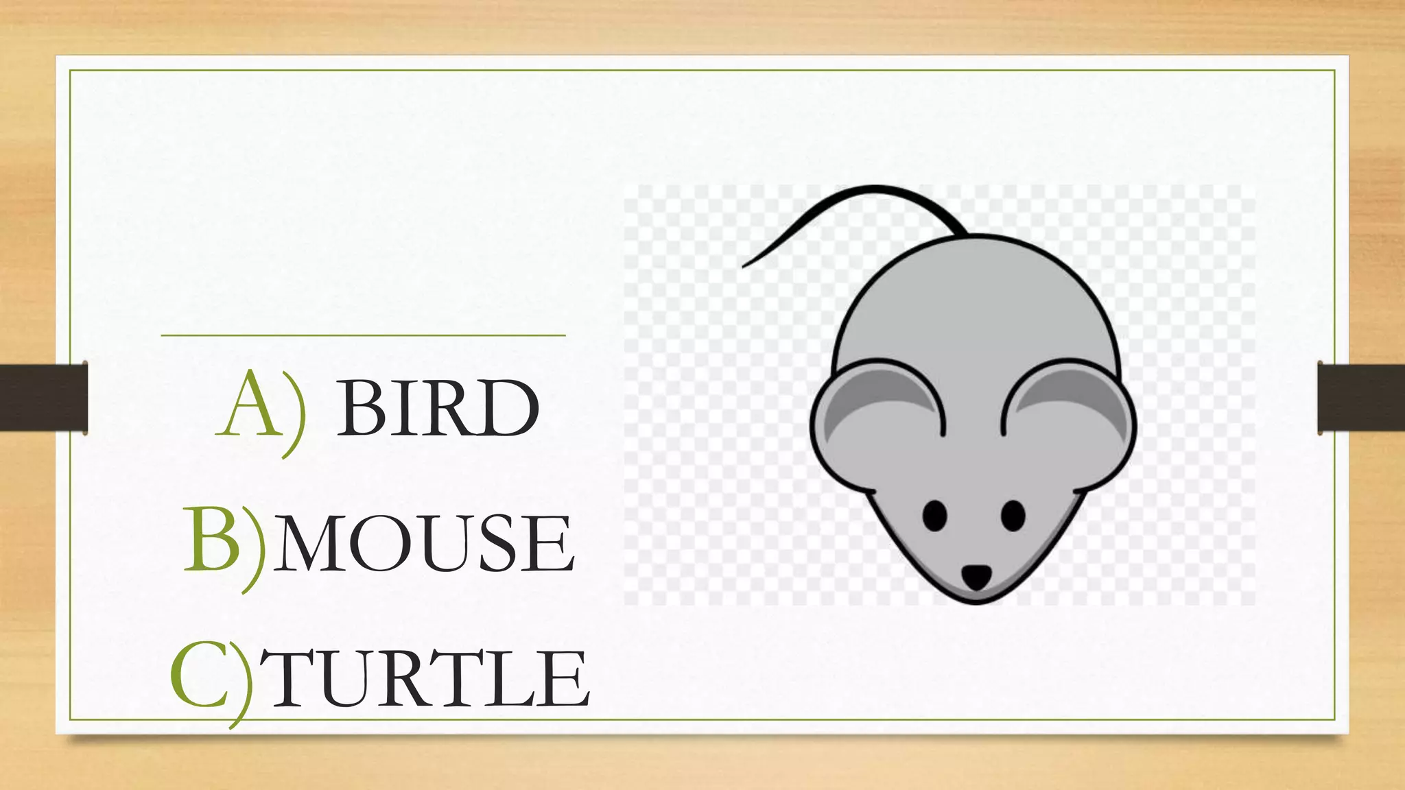 Animals 3rd grade | PPT