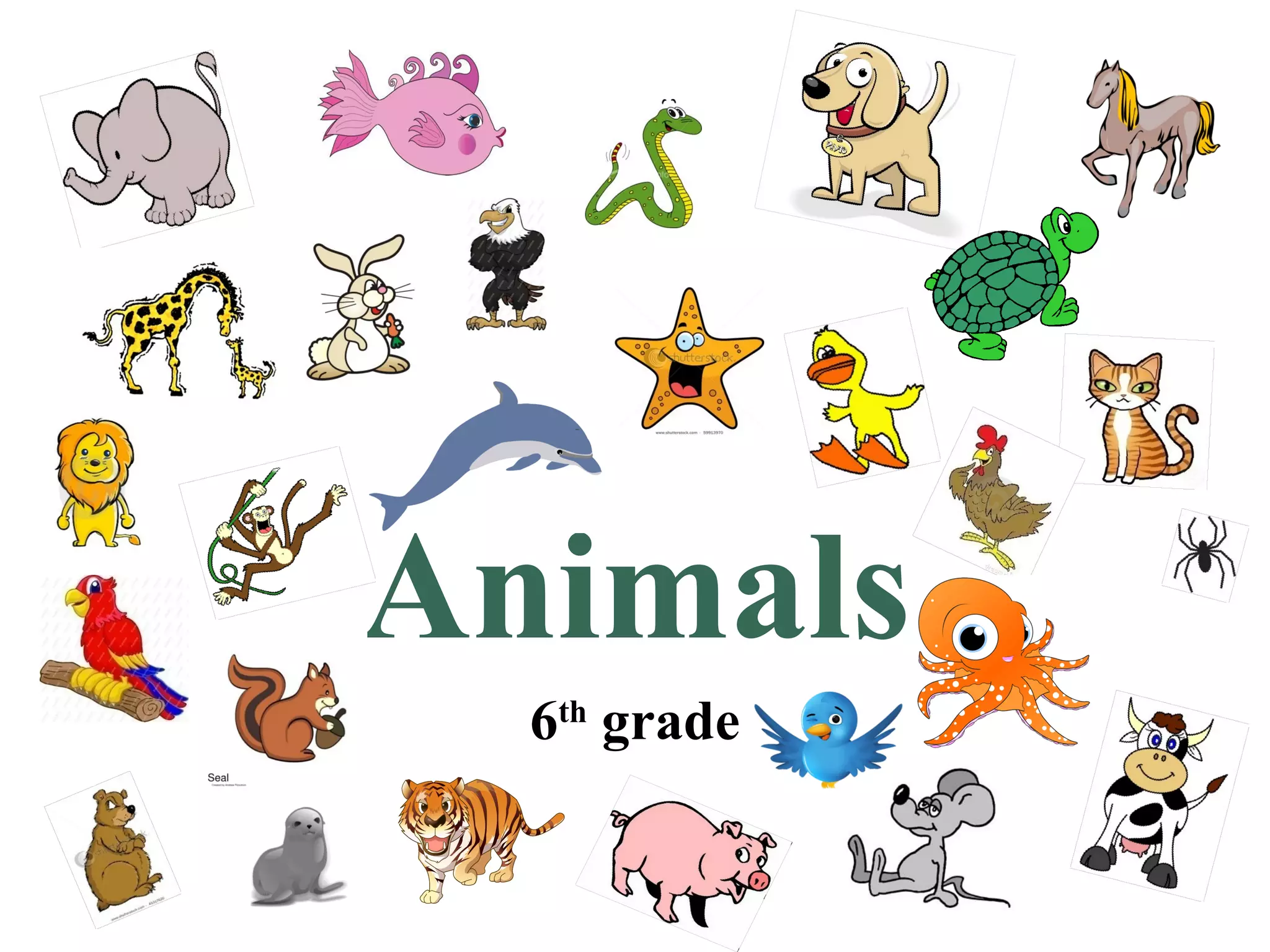 Animals 6th grade ppt | PPT