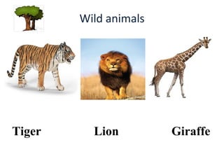 Animals 6th grade ppt | PPT