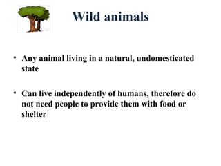 Animals 6th grade ppt | PPT