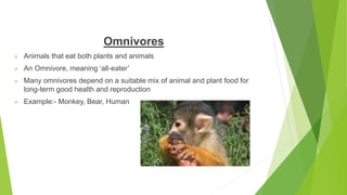 Animals acc to food | PPTX