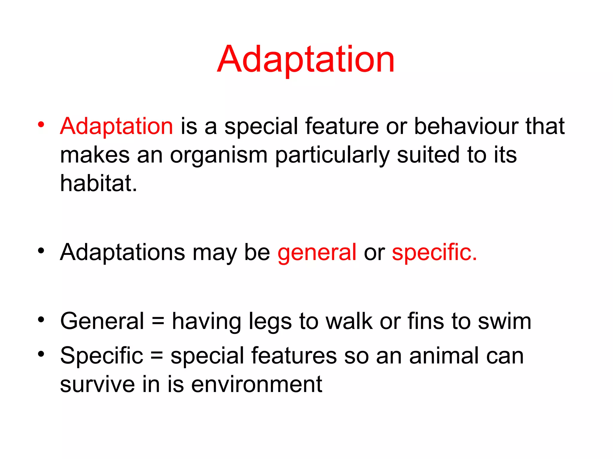 Animals adaptations | PPT