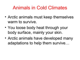 Animals adaptations | PPT