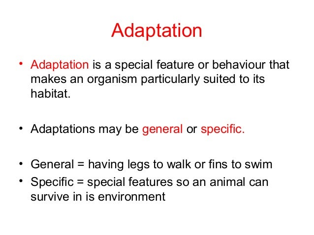 Animals adaptations