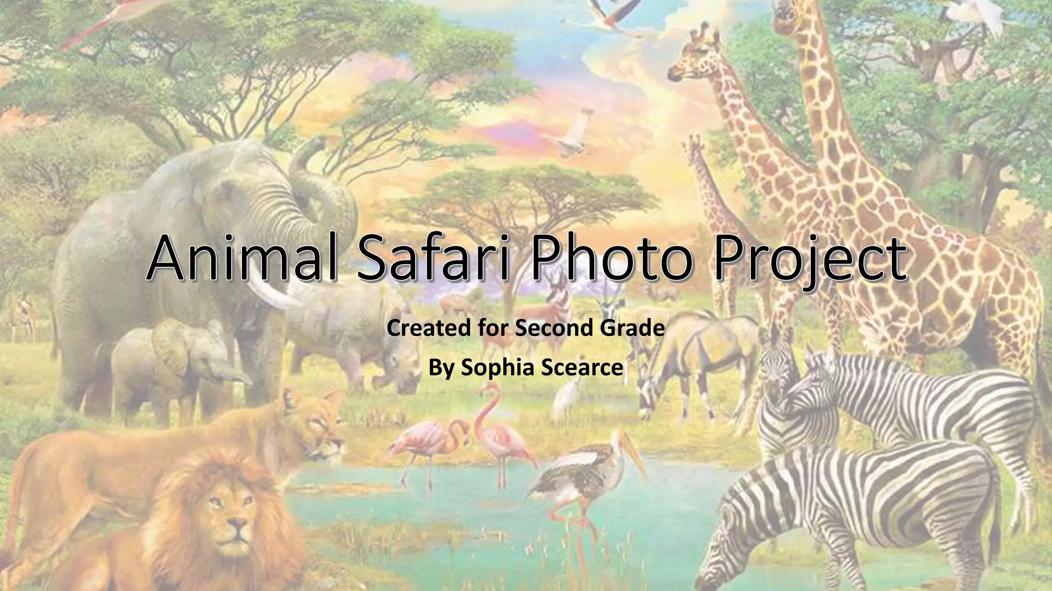 MOOC Final Project Animal Safari | PPT
