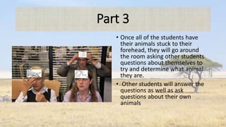 MOOC Final Project Animal Safari | PPT