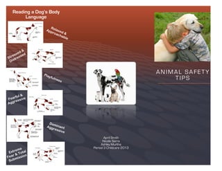 Animal safety brochure | PPT