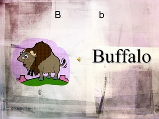 Animals alphabet | PPT