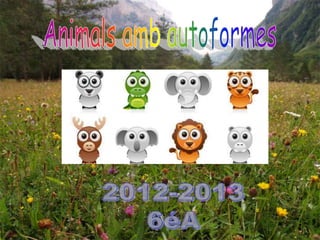 Animals amb autoformes 6A | PPSX