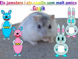 Animals amb autoformes 6A | PPSX