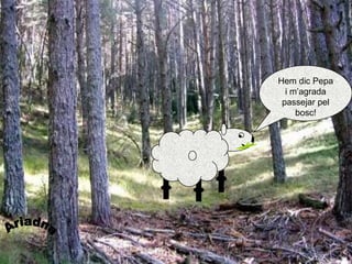 Animals amb autoformes 6A | PPSX