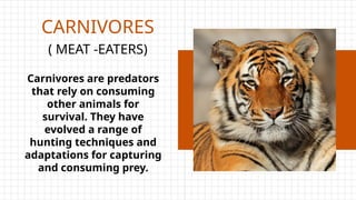 Classification of animals based on the food they eat | PPTX