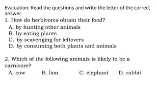 Classification of animals based on the food they eat | PPTX