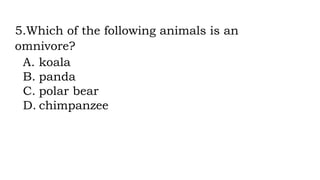 Classification of animals based on the food they eat | PPTX