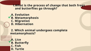 Classification of animals based on the food they eat | PPTX